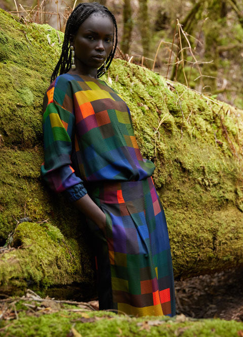 Collections | ELK AU